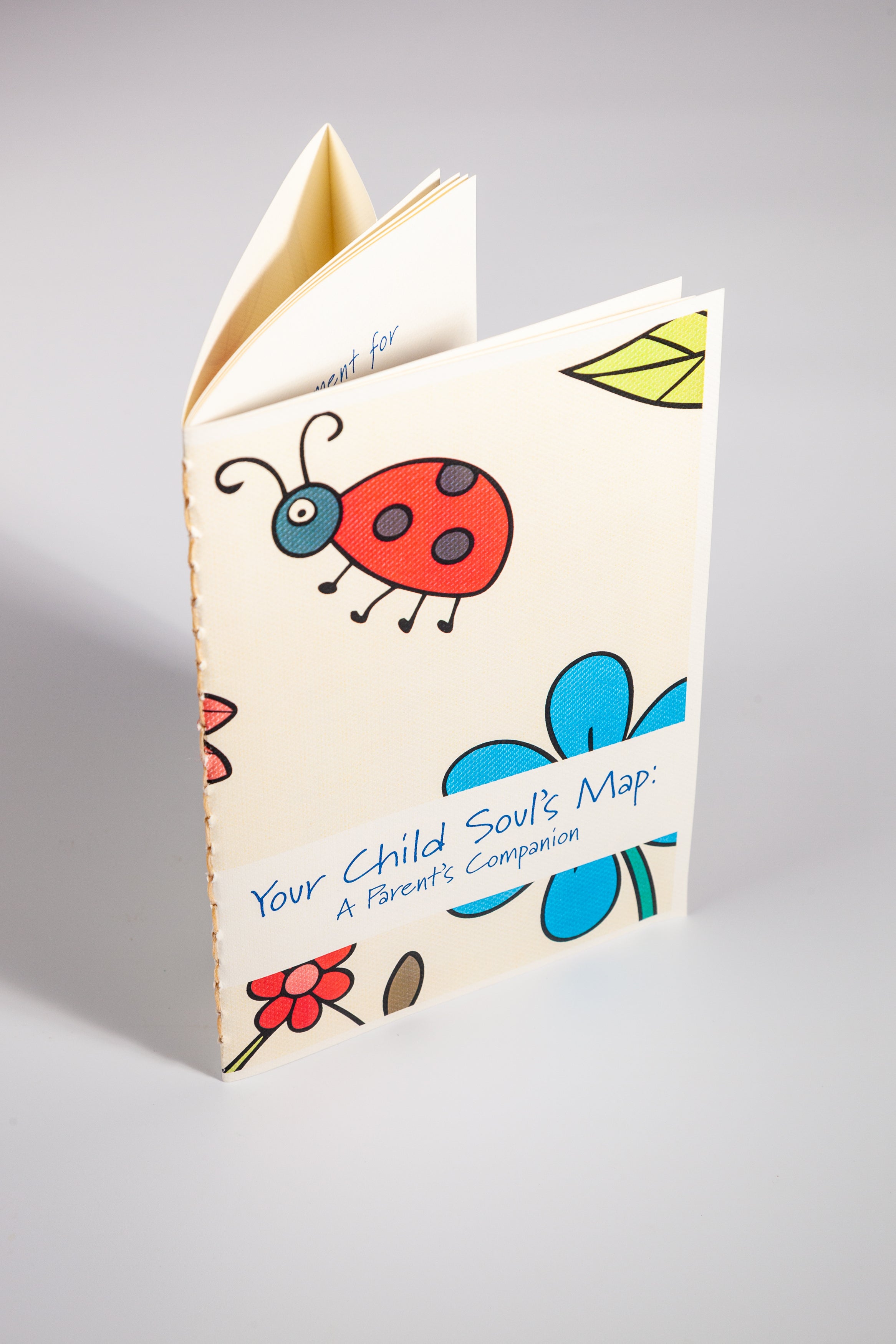 The Child Soul's Map - Personalized Astrology Guide for Your Child ...